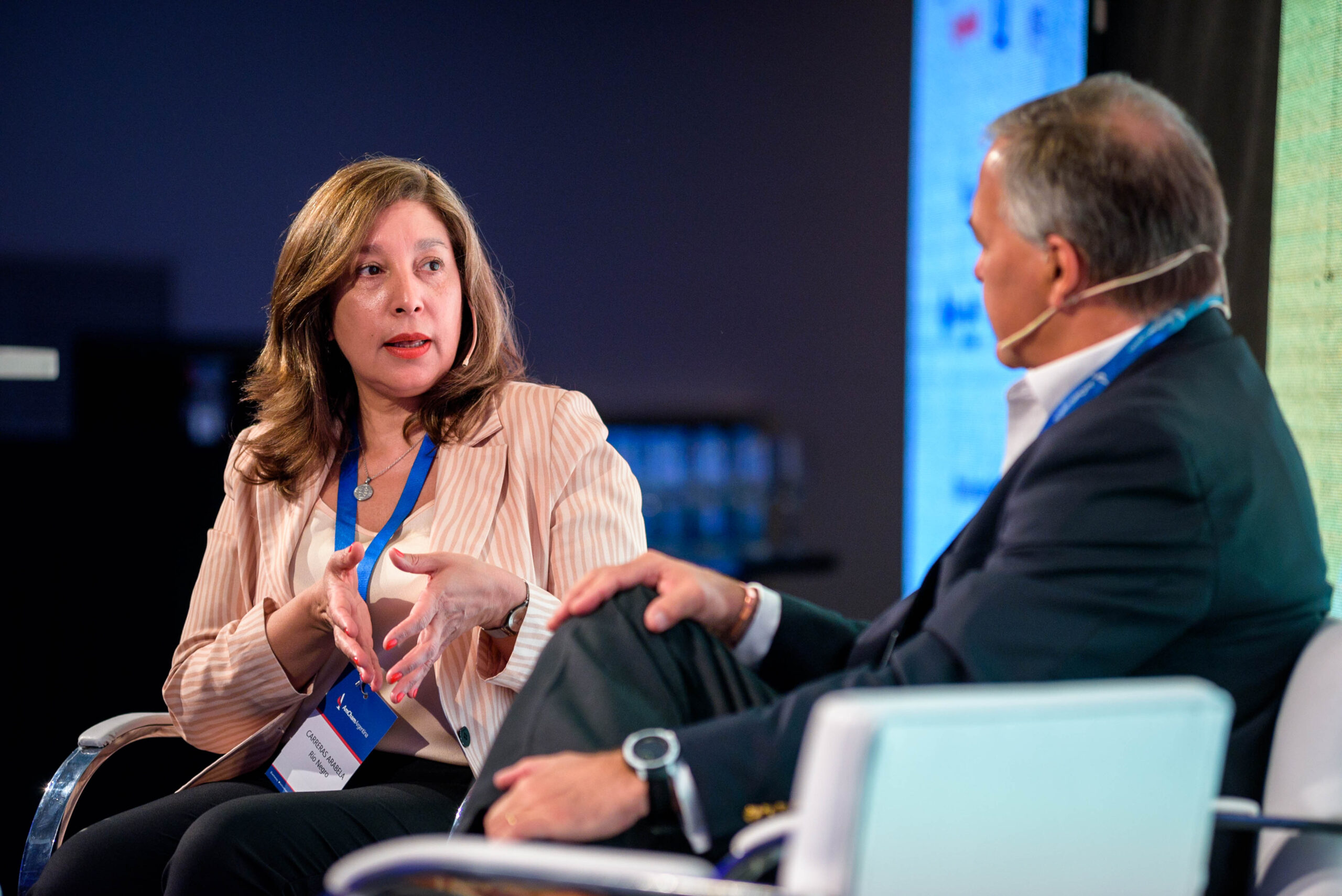 Arabela Carreras: “Hay un desafío particular en el marco regulatorio ...